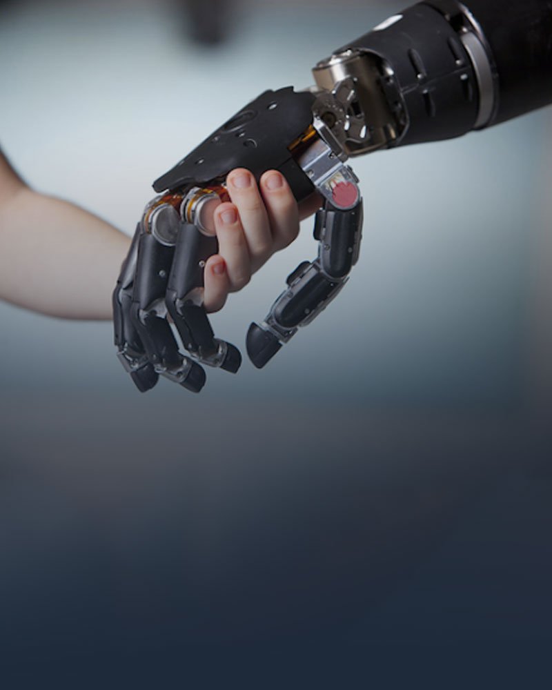 Rebuilt The Human Body Engineering Lower Limb Prosthetics,Upper Limb ...